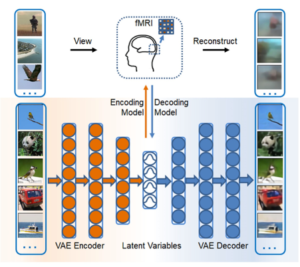 Brain-aligned AI – Laboratory of Integrated Brain Imaging