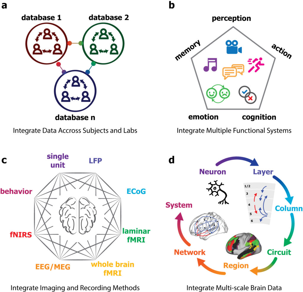 Neuroimaging – Laboratory of Integrated Brain Imaging