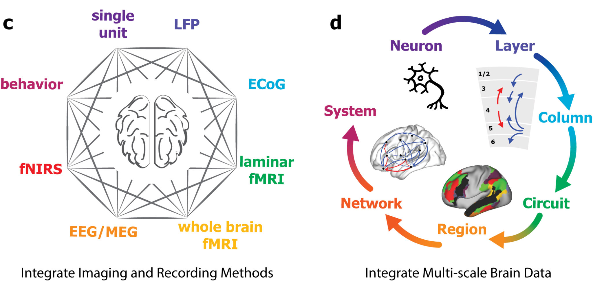 Neuroimaging – Laboratory of Integrated Brain Imaging